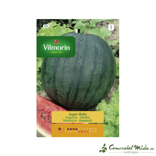 ANGURIA ZUCCHERO BABY semi Vilmorin 6g – Comercial Mida